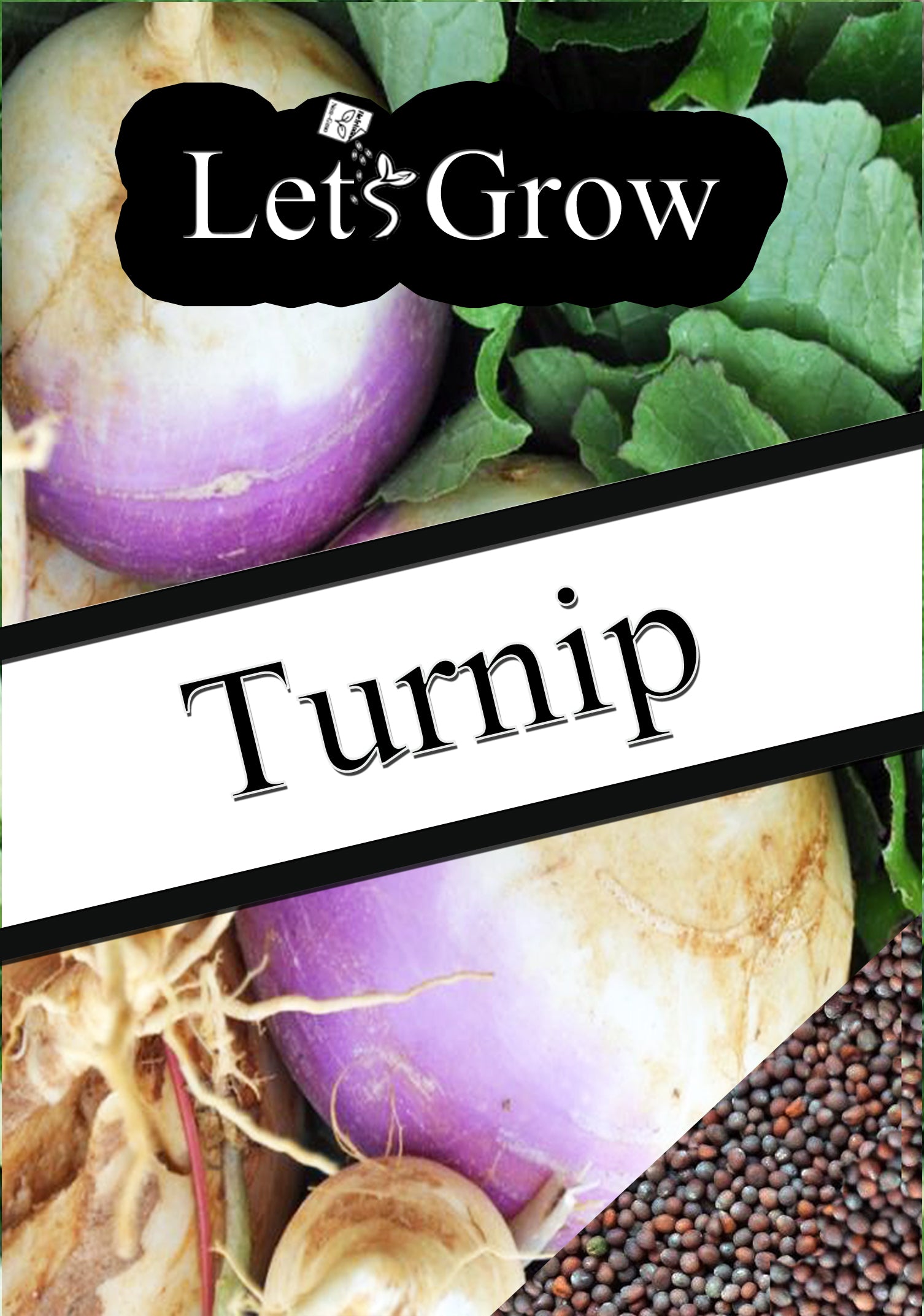 Turnip Growing Guide – Black & White Seed Company